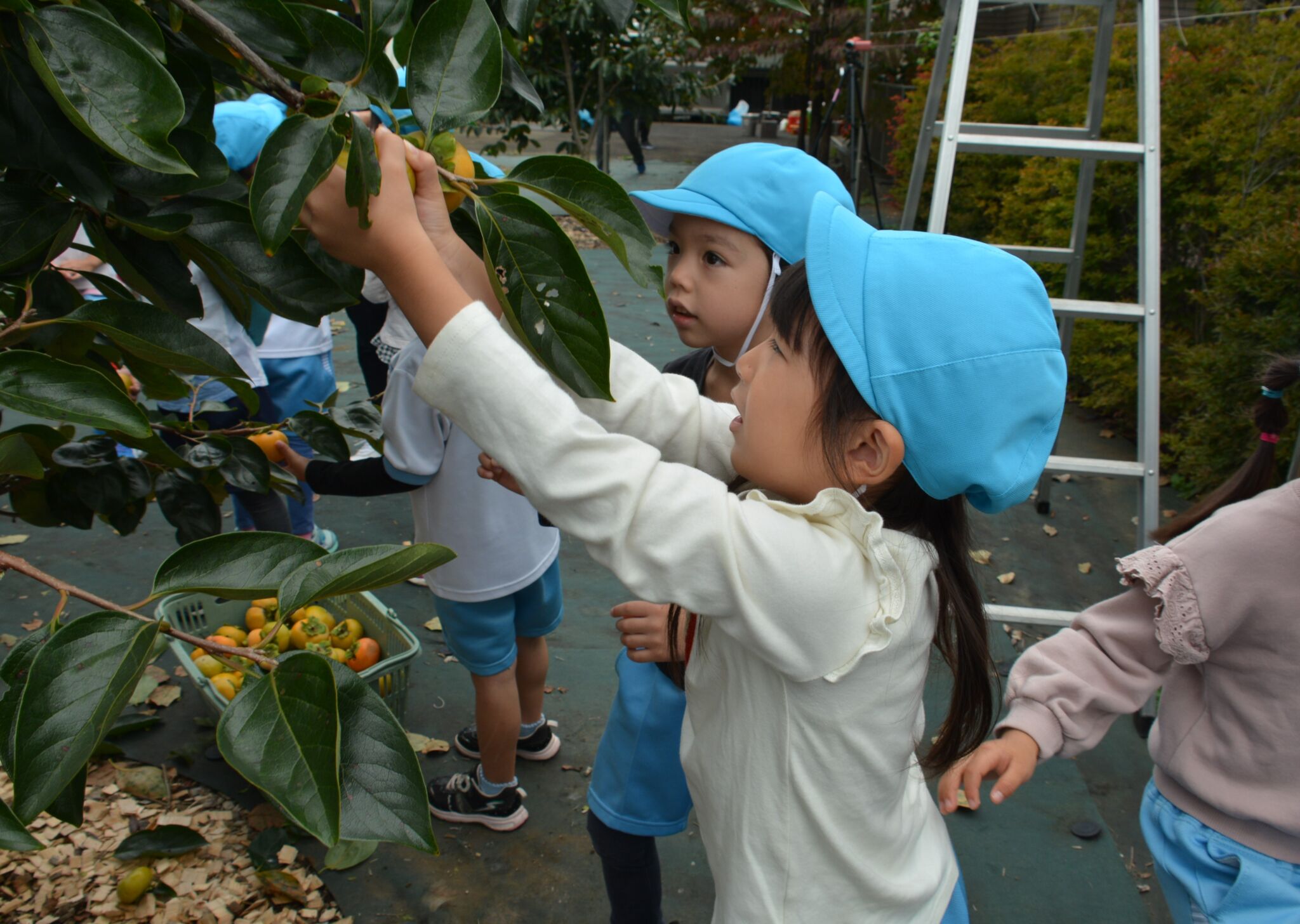 DSC_0467 | 駅前なかよし保育園